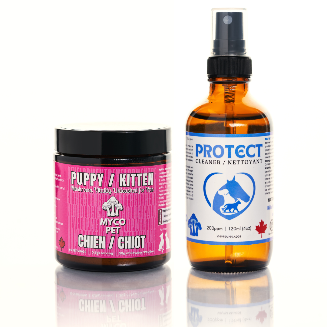 Puppy & Kitten Starter Bundle – Myco Pet